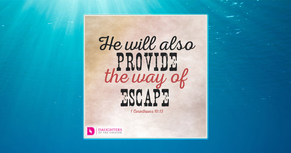 Look for the Exit Signs - Daughters of the Creator