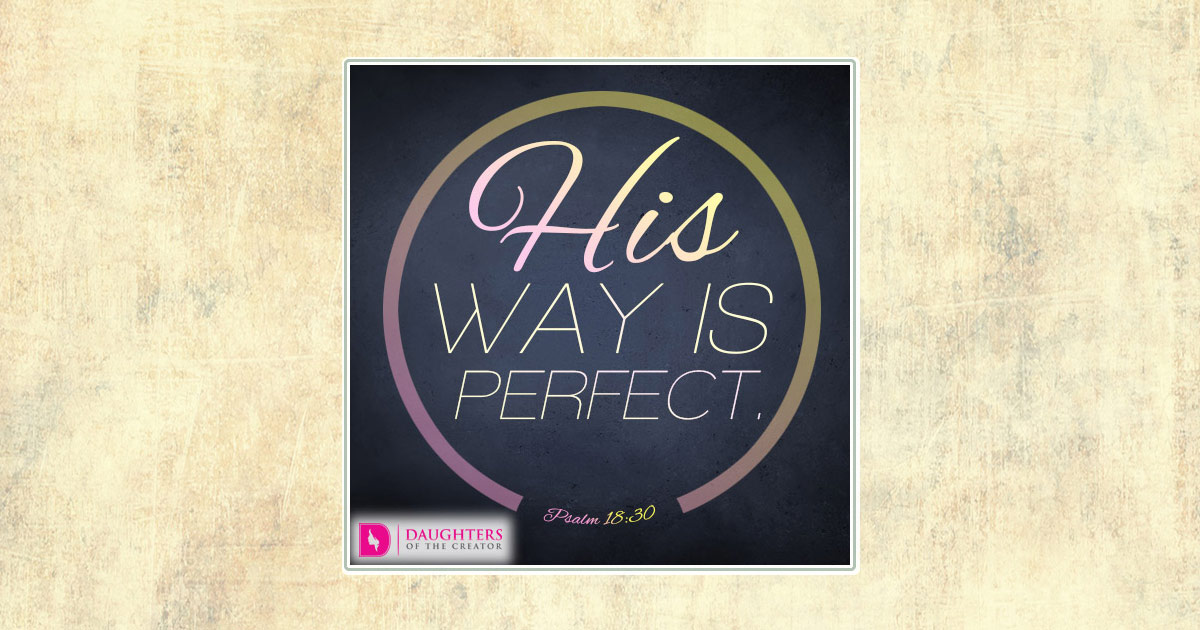 The Perception of Perfection - Daughters of the Creator